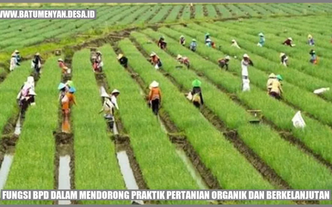 Fungsi BPD dalam Mendorong Praktik Pertanian Organik dan Berkelanjutan ... Fungsi BPD dalam Mendorong Praktik Pertanian Organik dan Berkelanjutan ...